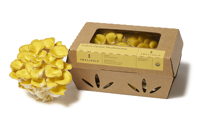 Smallhold Expands Into Sprouts Farmers Markets Across Western States The Packer smallhold-expands-into-sprouts-farmers-markets-across-western-states-the-packer